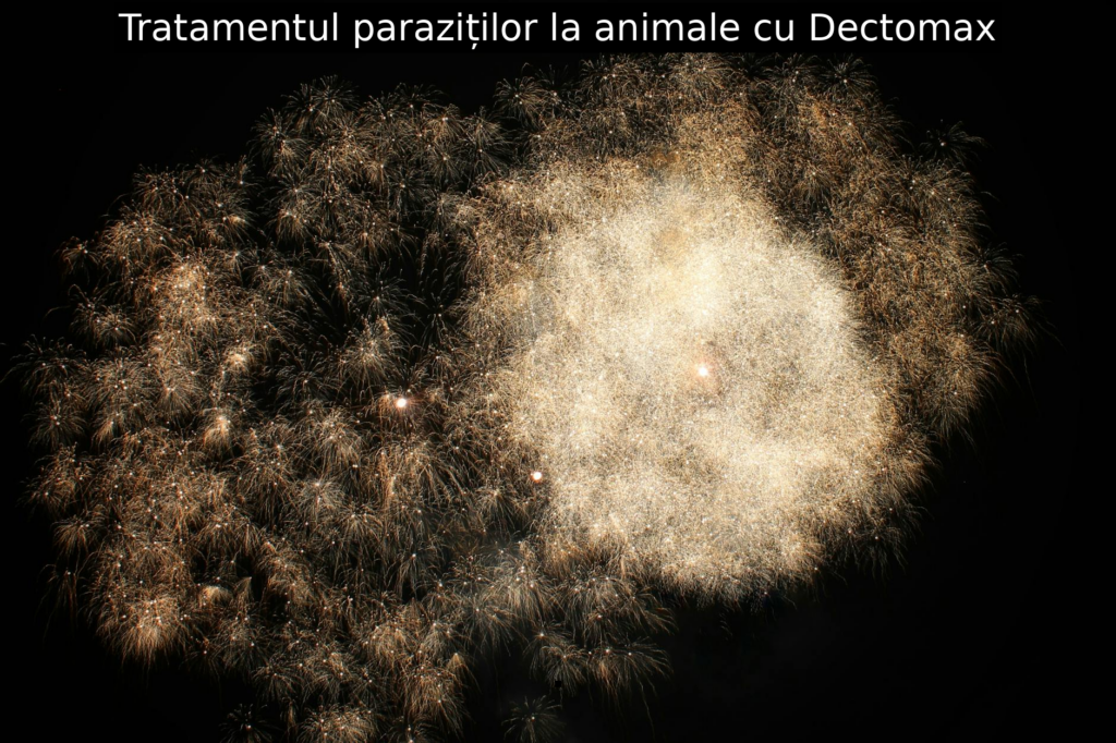 Tratamentul paraziților la animale cu Dectomax - Top Clinici