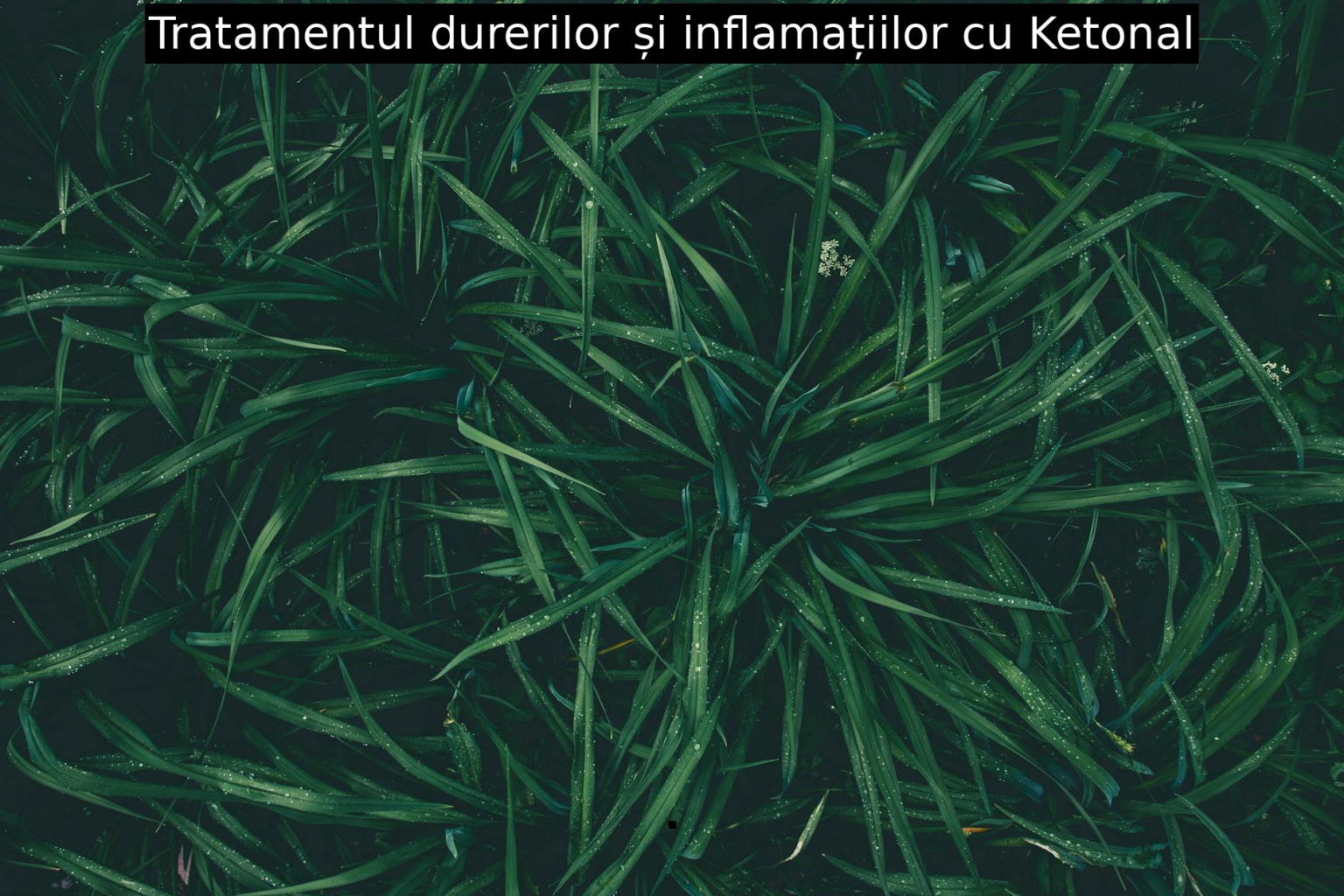 hepafort: prospect, informatii, mod de administrare, reactii adverse ...