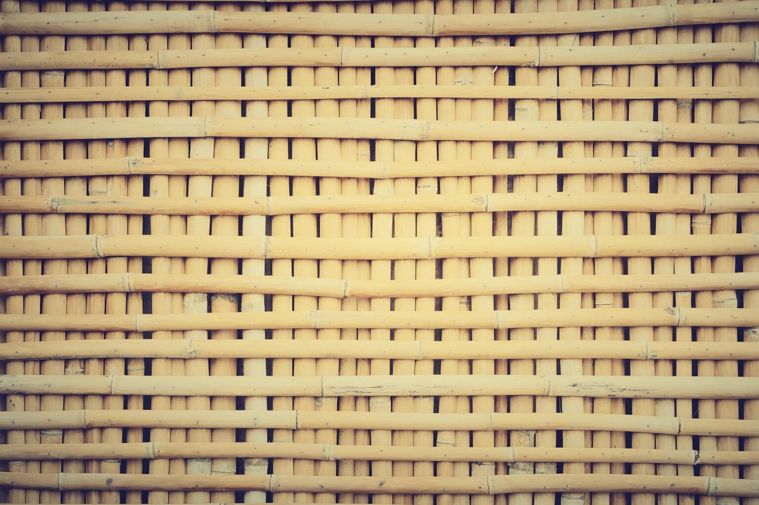 sennalax: prospect, informatii, mod de administrare, reactii adverse ...