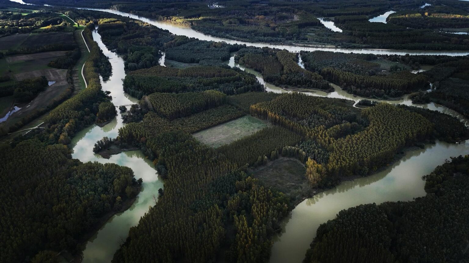 dexatobrom: prospect, informatii, mod de administrare, reactii adverse ...